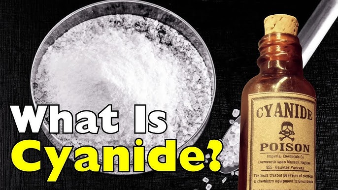 Cyanide Toxicity: Causes, Diagnosis, and Management