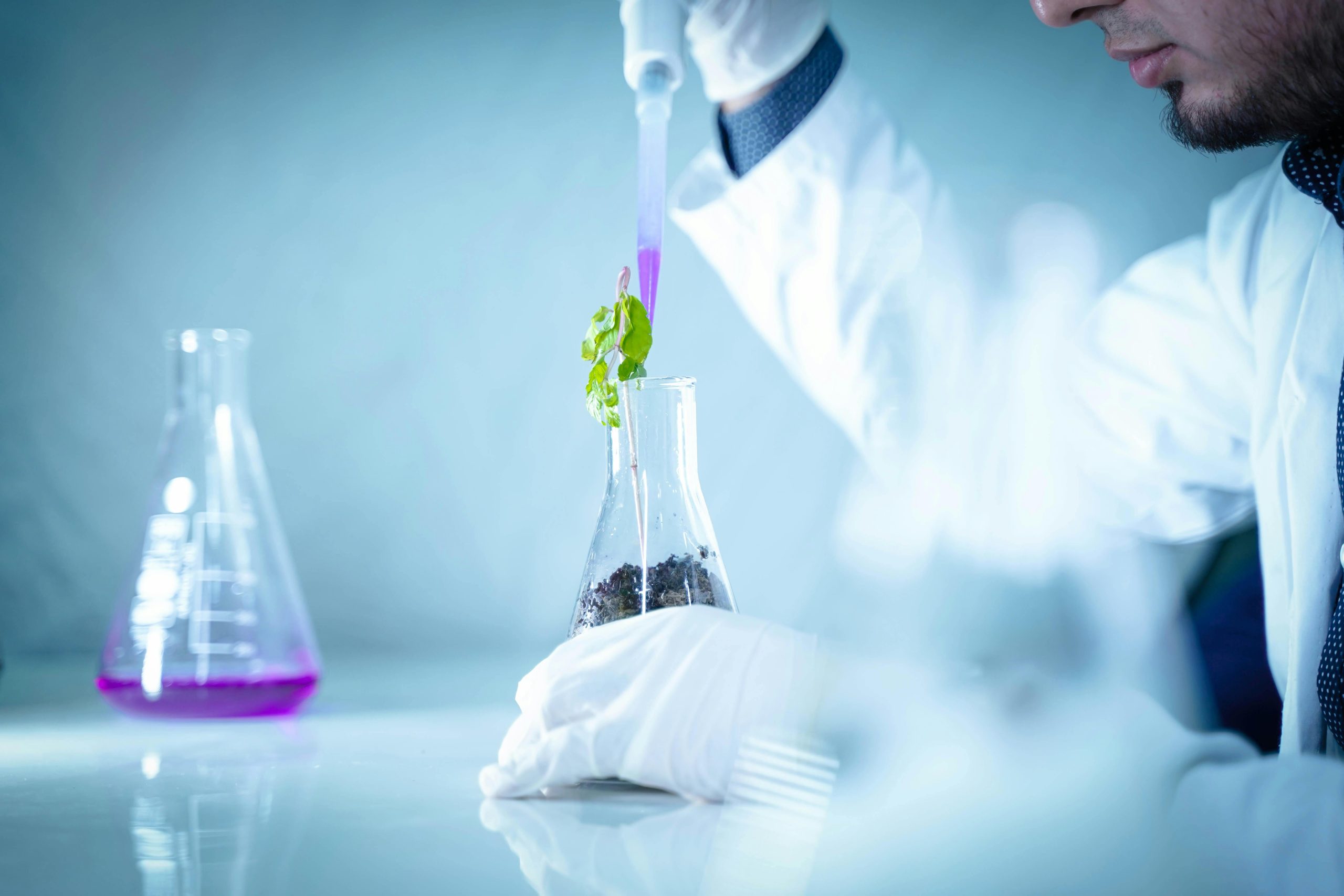 Top Soil Testing Companies in Kenya for 2026