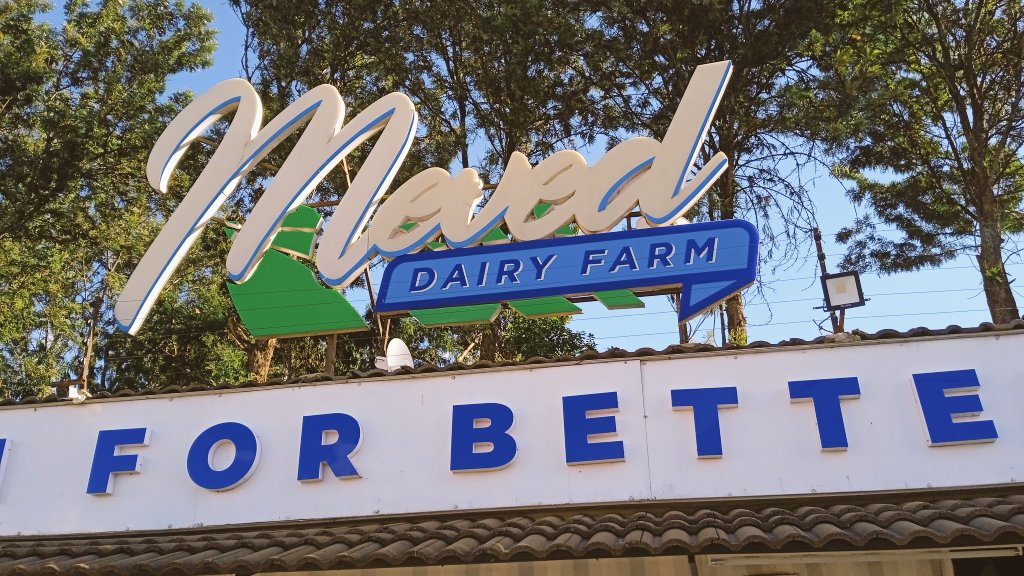 Meved Dairy Farm Success Story: How One Farm Produces 1,200 Litres of ...